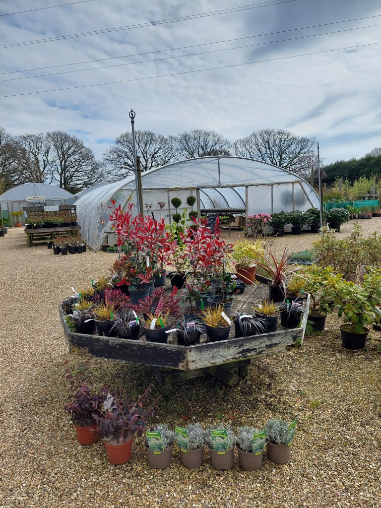 Contact us - Bashley Plant Centre