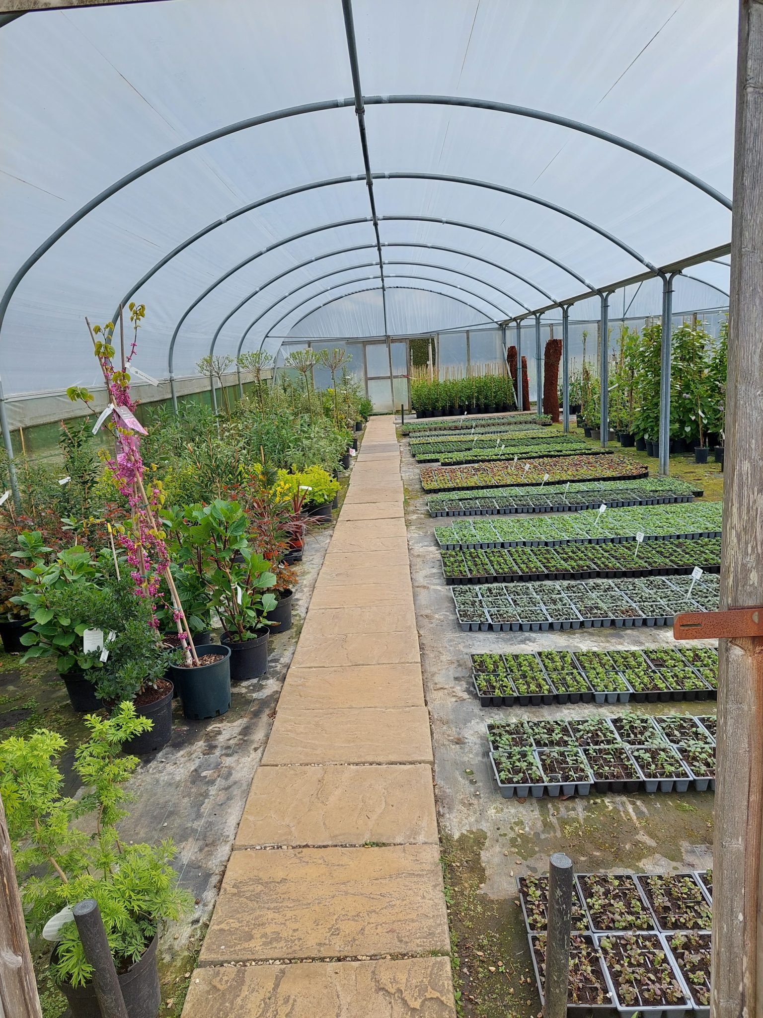 Contact us - Bashley Plant Centre