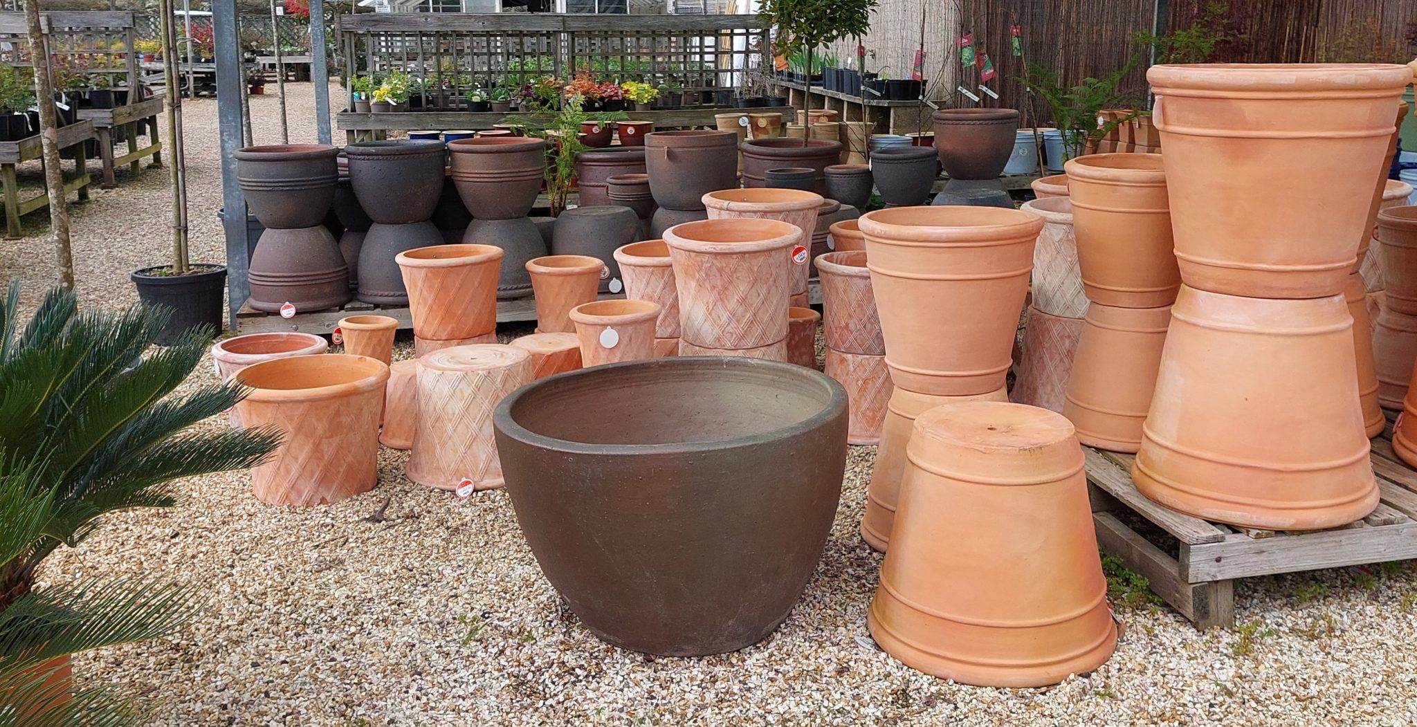 Contact us - Bashley Plant Centre
