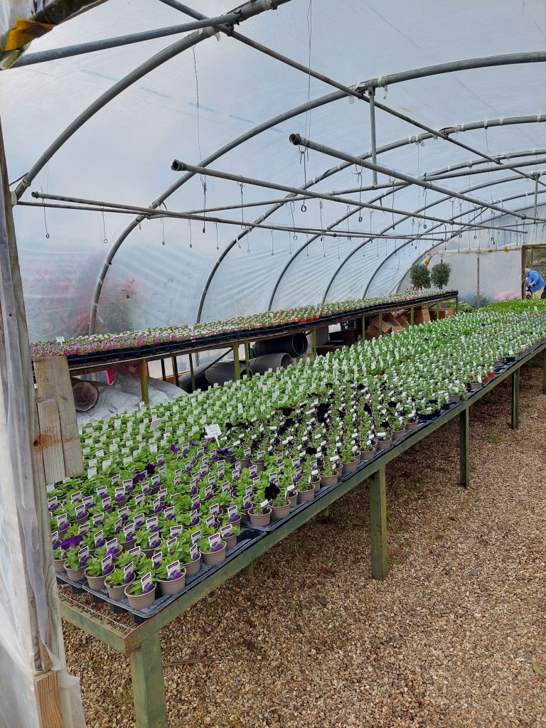 Contact us - Bashley Plant Centre